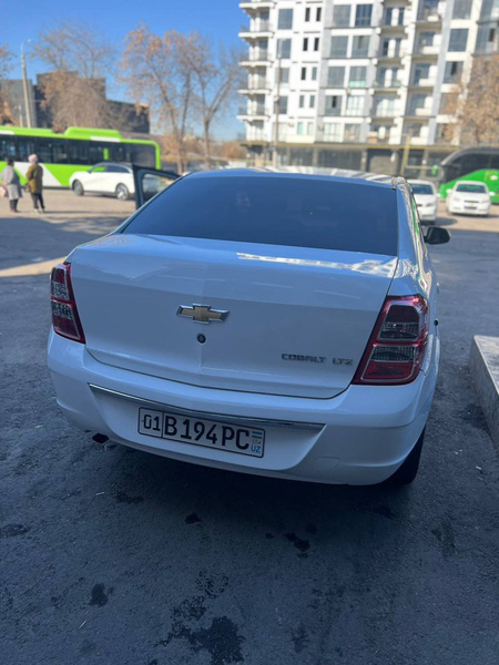 Malibu 2 . 2018. Kraska toza