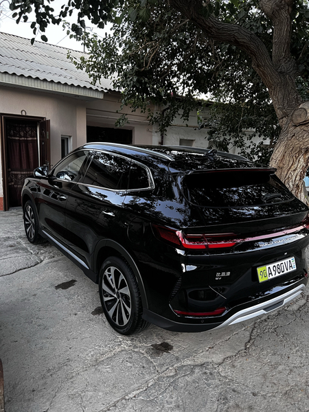 Byd song chempion 2023