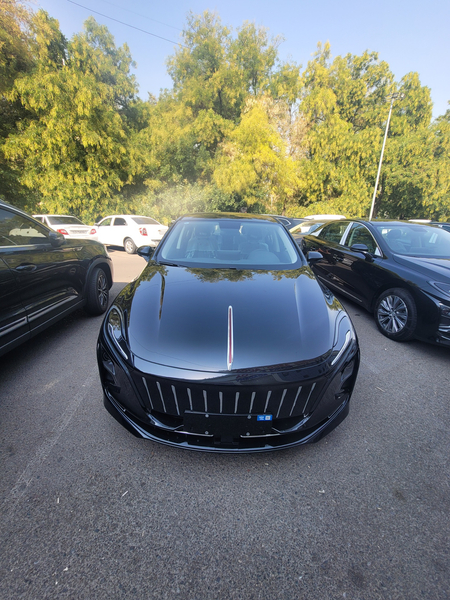 Hongqi e-qm5 450 km