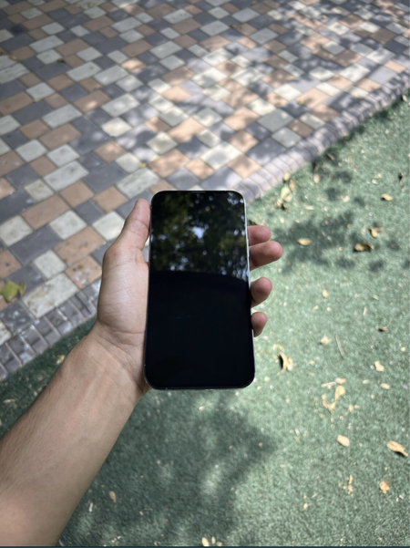 Iphone 13 pro max 256 gb