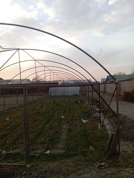 Tayyor issiqxona(parnik) sotiladi 2sotixli narxi 12mln (kelishamiz)
