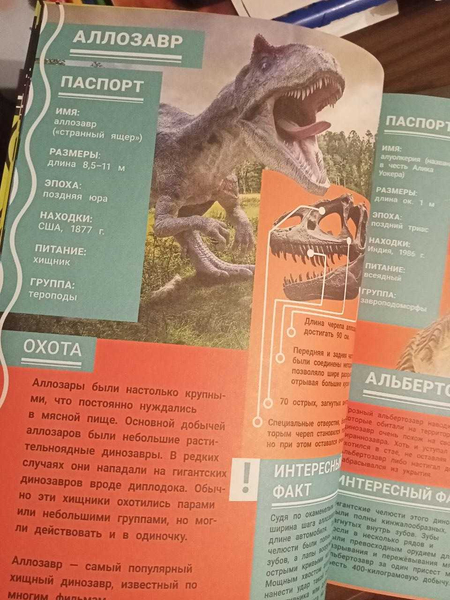 книга .динозавры .новая.