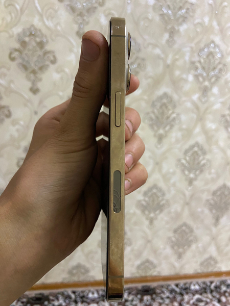 Iphone 13 pro ideal