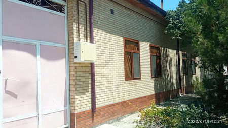 Vobkentda hovli bor