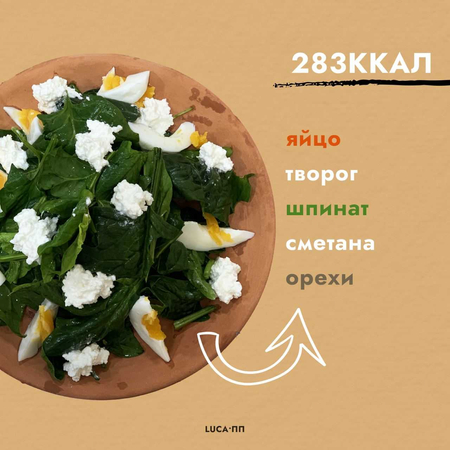 Программа правильного питания с доставкой