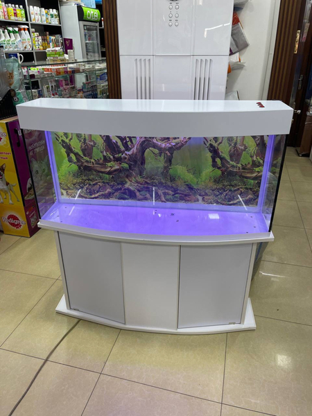Akvarium 200 litrlik yengi sifat