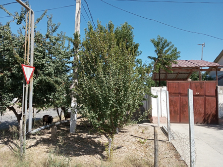 Yangi katej hamma sharoitlar bor
