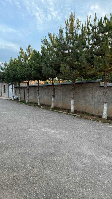 Продаю дом в Кибрайском районе