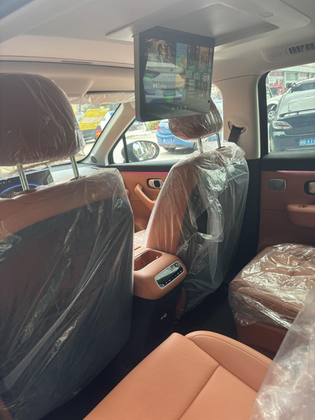 Leapmotor C16 Hybrid full