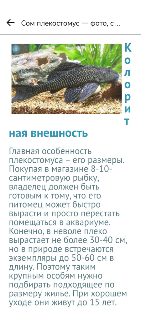 Балшой Аквариум за 350$