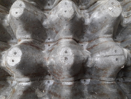Detallar, kafolatli