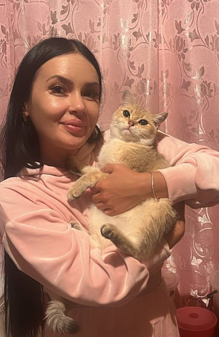 Продаётся чистокровная шиншилла,девочка
