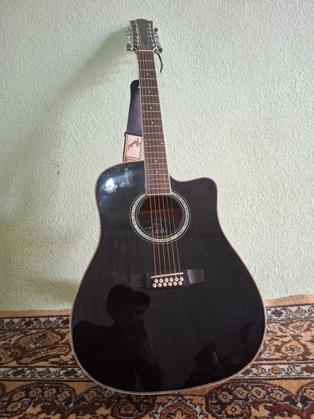 Gitara 12 strunali