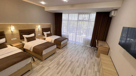 Гостиница Shosh Modern , Hotel Shosh Modern