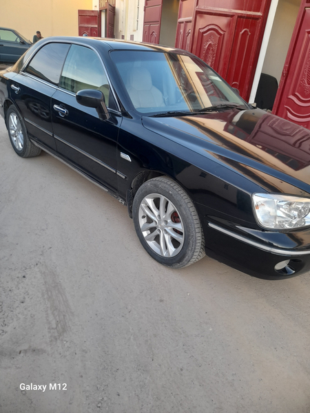 Hyundai grenjer JT30