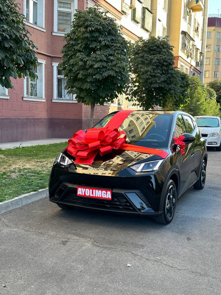 Автобант, бантик машинага, капотига бантик