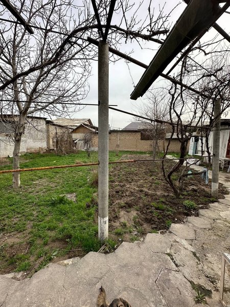 Бектемир район орт.. Налоговая и Мечеть. 7 соток.