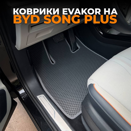 Evakor Polik Byd song, Tang, Han, E2, Yuan, Chazor, Leap Motor c11