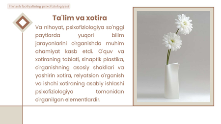 Buyurtmaga professional prezentatsiya tayyorlaymiz