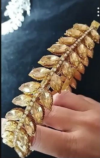Diadema tillaqoshlar