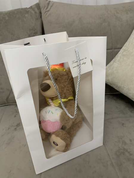 Teddy ayiq qo’shiq aytadi va gapingizni qaytaradi