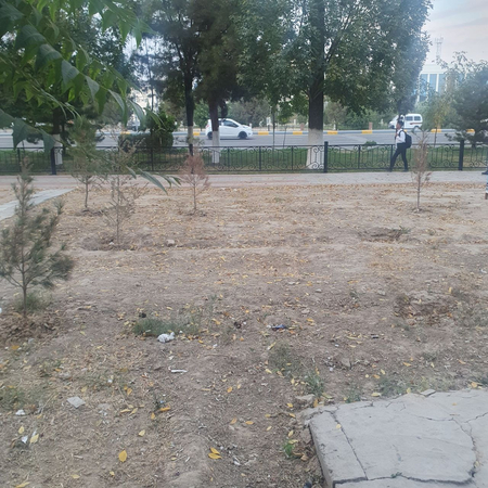 3/1/4 Qarshi sh (torgovka) yo`l yuzasida Ofis, Yashash uchun 2 eshikli