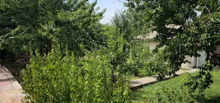 Dacha ARENDA BeriladiI yoki SOTILADI Parkent