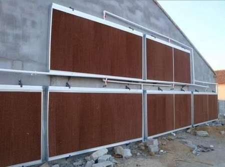 Gofra tovuq fermalar uchun