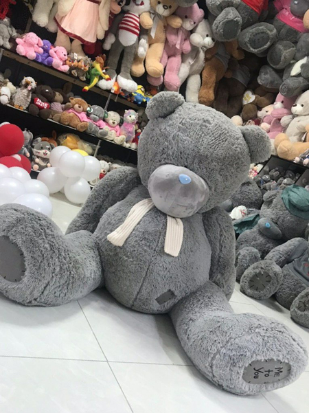 Teddy teddi xitoy orginal 100 %
