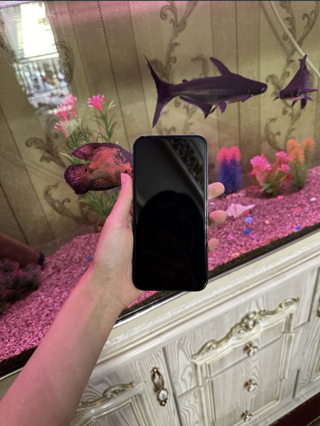 Iphone 13 pro max