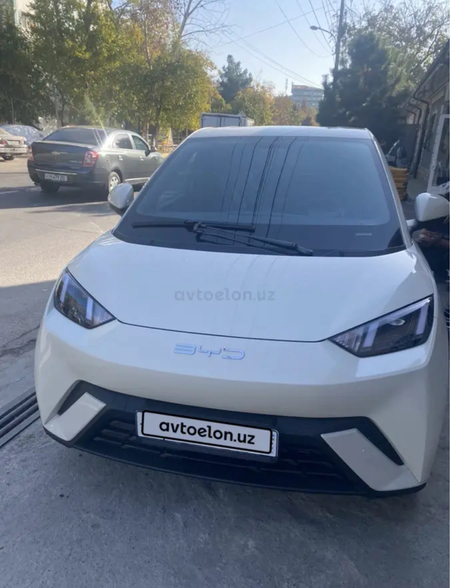 Byd seagull 2023