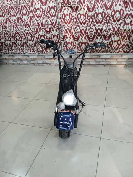 Xarliy siti koko