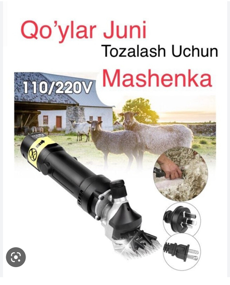 Qŏy yungini Jungini olish xizmati