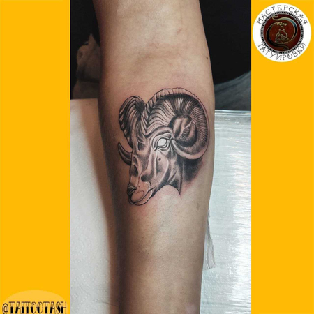 Тату, татуировки ,Tattoo в Ташкенте