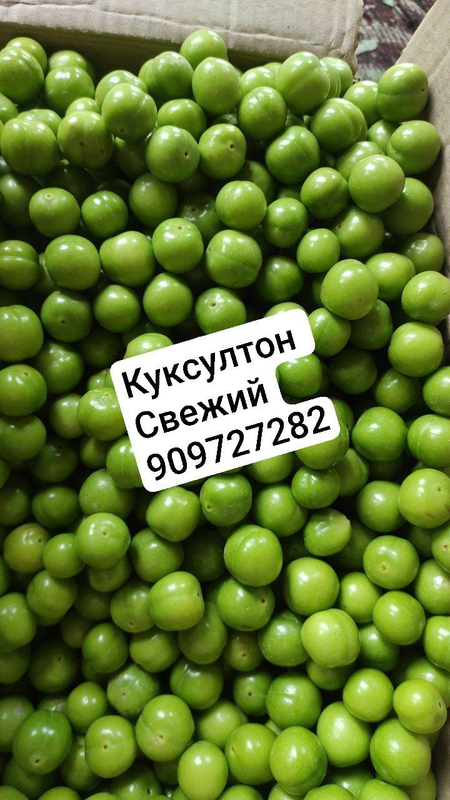 Куксултон свежий мазаси супер