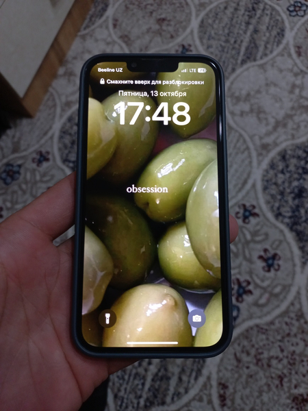 Iphone 13 pro ideal