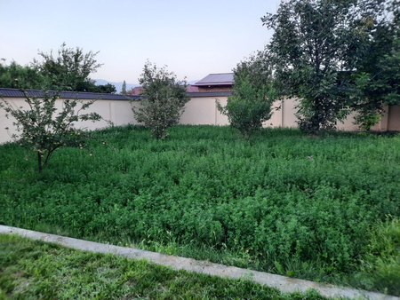 Bo'stonliq Tovoqsoyda dacha sotiladi