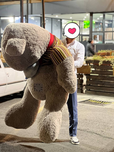 Teddy N1 sotiladi