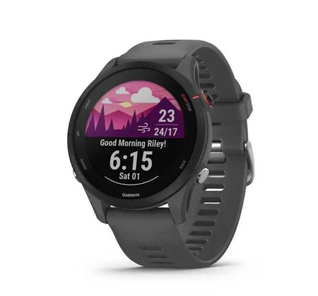 Смарт часы Garmin Forerunner 255 Gray