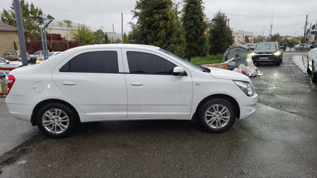 Cobalt 2024  Kraska Toza 11.800 km