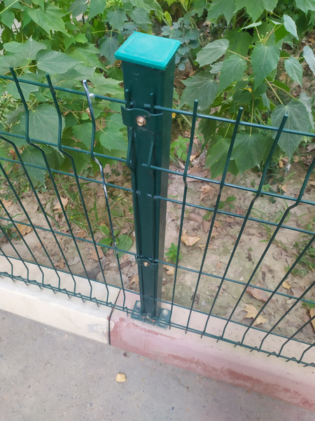 Yevro zabor va Dorojniy setka