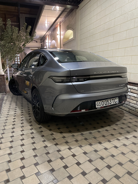 Byd chazor gibrid