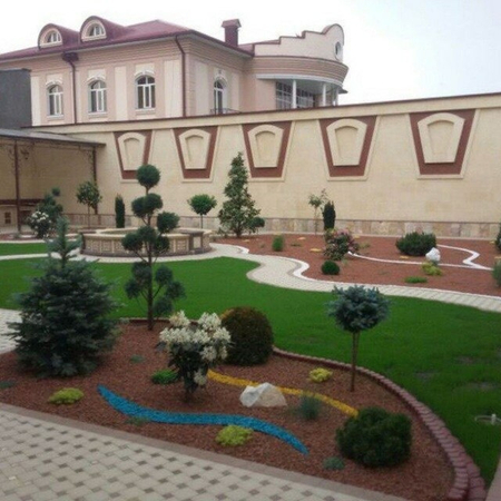 Gazon, landshaftniy dizayn
