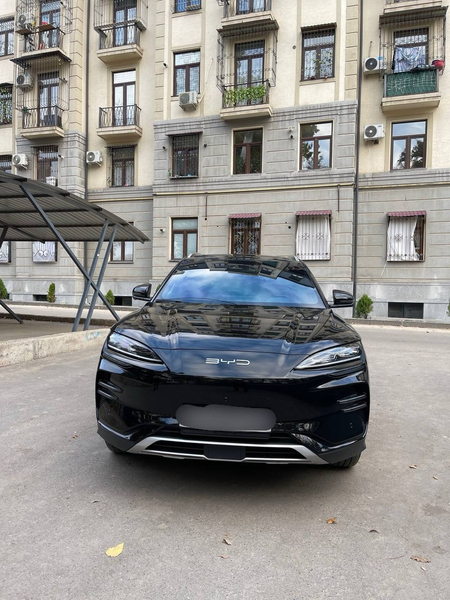 Srochna byd champion