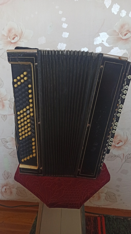 Музыкальные инструменты