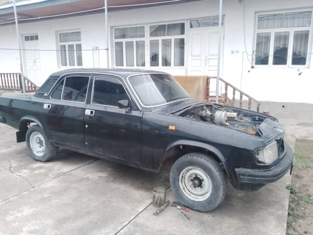 qora volga 31029
