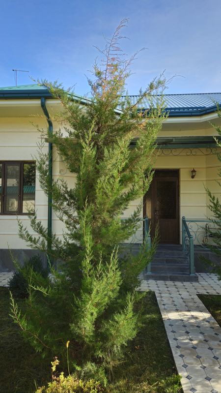 Срочно продается загородный дом