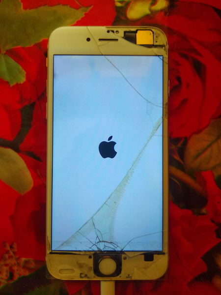 Iphone 6 (apple)