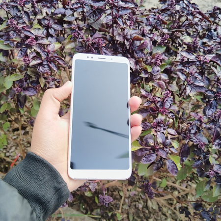Mi 5 plus sotiladi