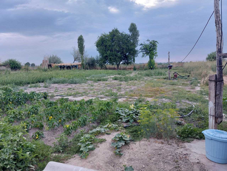Продается дом 3 ком. примерно 110кв/м. Таш. обл, 25км от куйлюк базар.